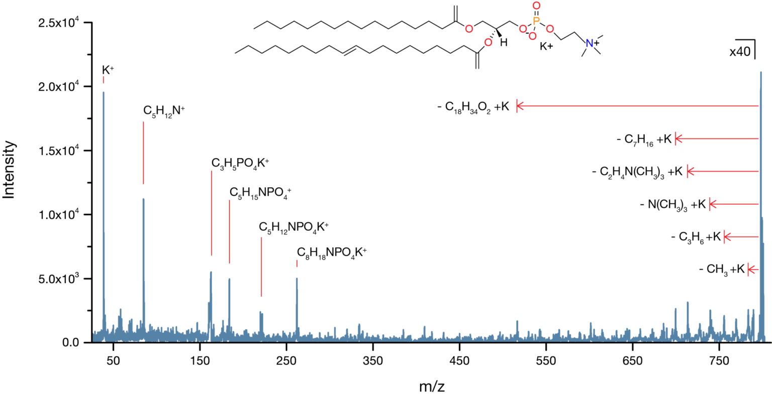 TOF-SIMS飞行时间二次离子质谱仪-技术解读-质谱网