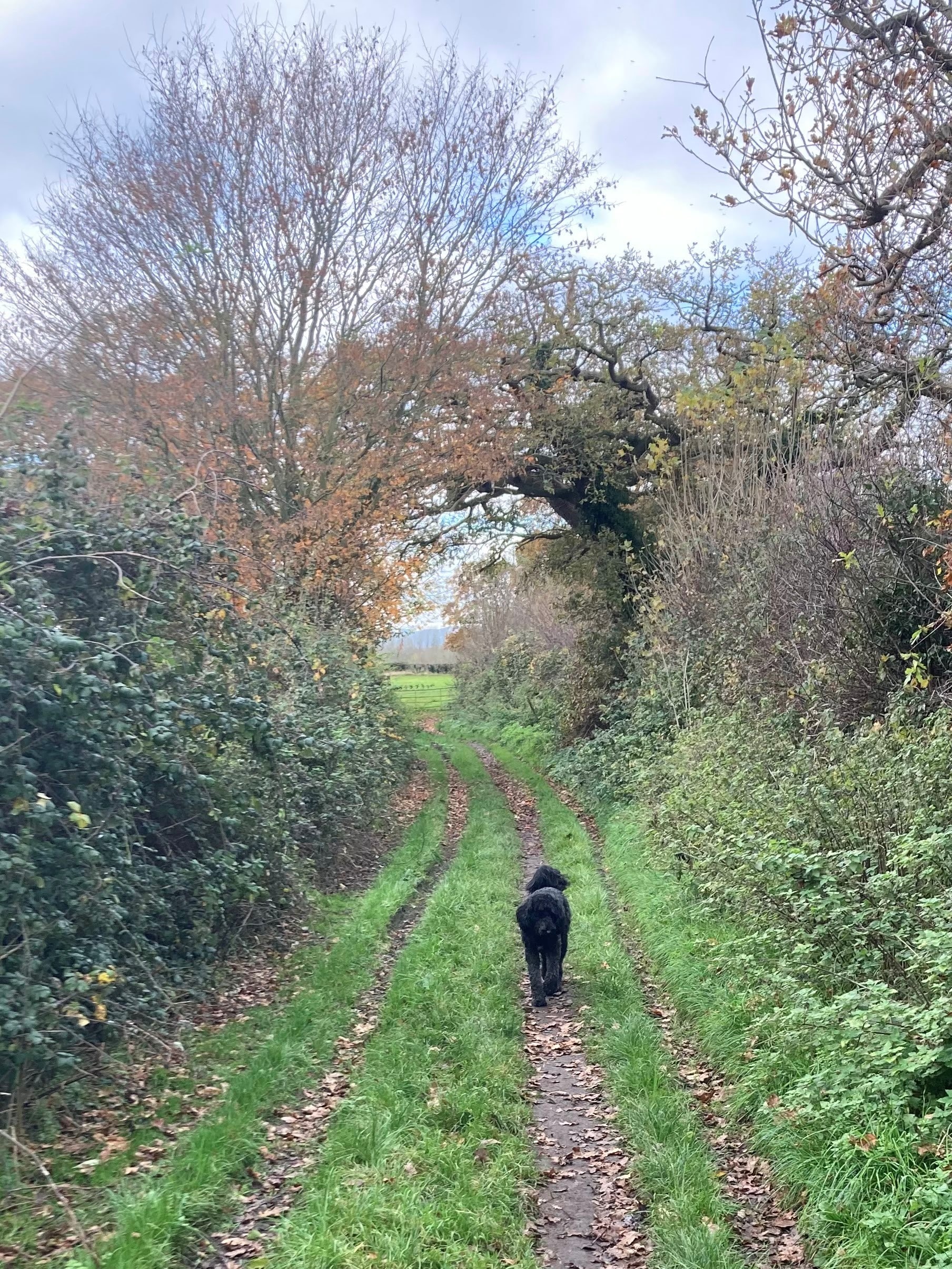 Ion Beam Technology Specialists - Ionoptika Ltd